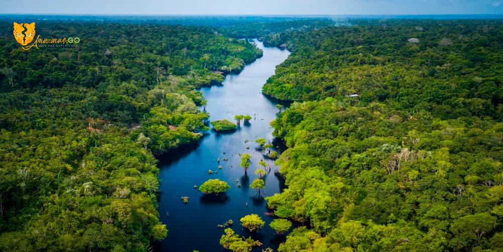 Selva del Amazonas: conoce sus atractivos | Amazonas Go